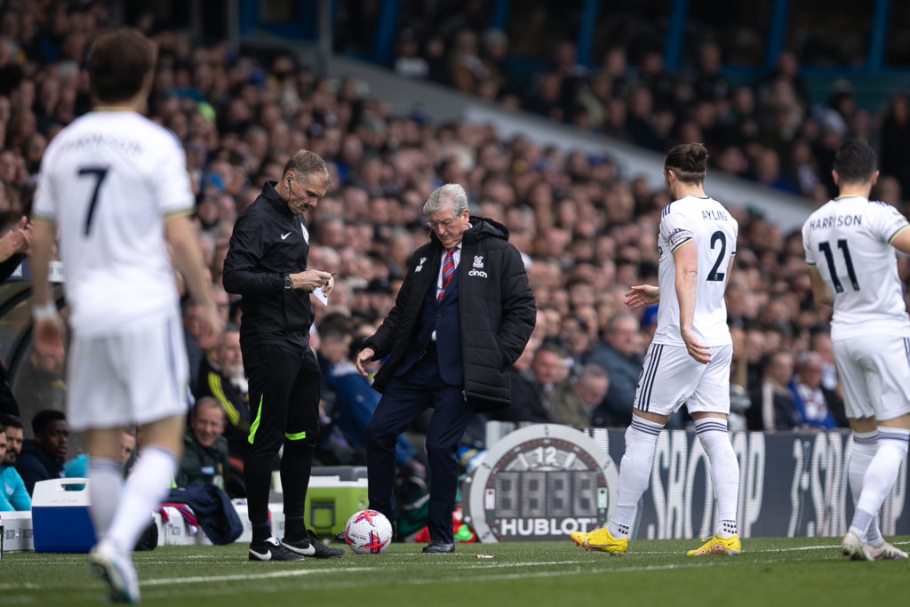 David Seaman sums up what it is like being a Leeds fan, after Crystal ...