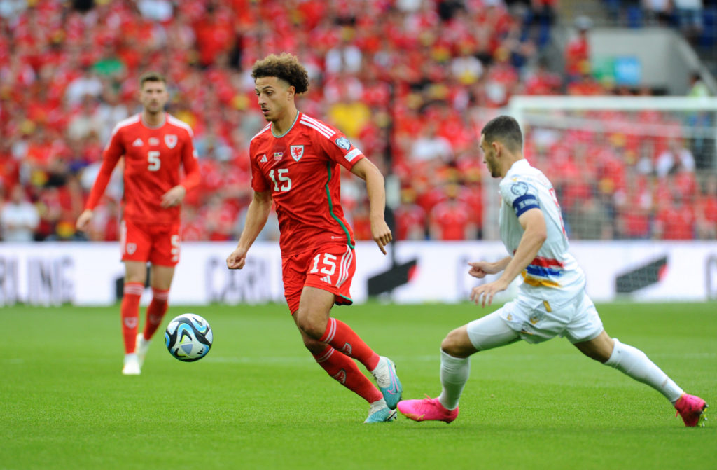 £12m man is the perfect summer signing for Leeds, covers two much ...