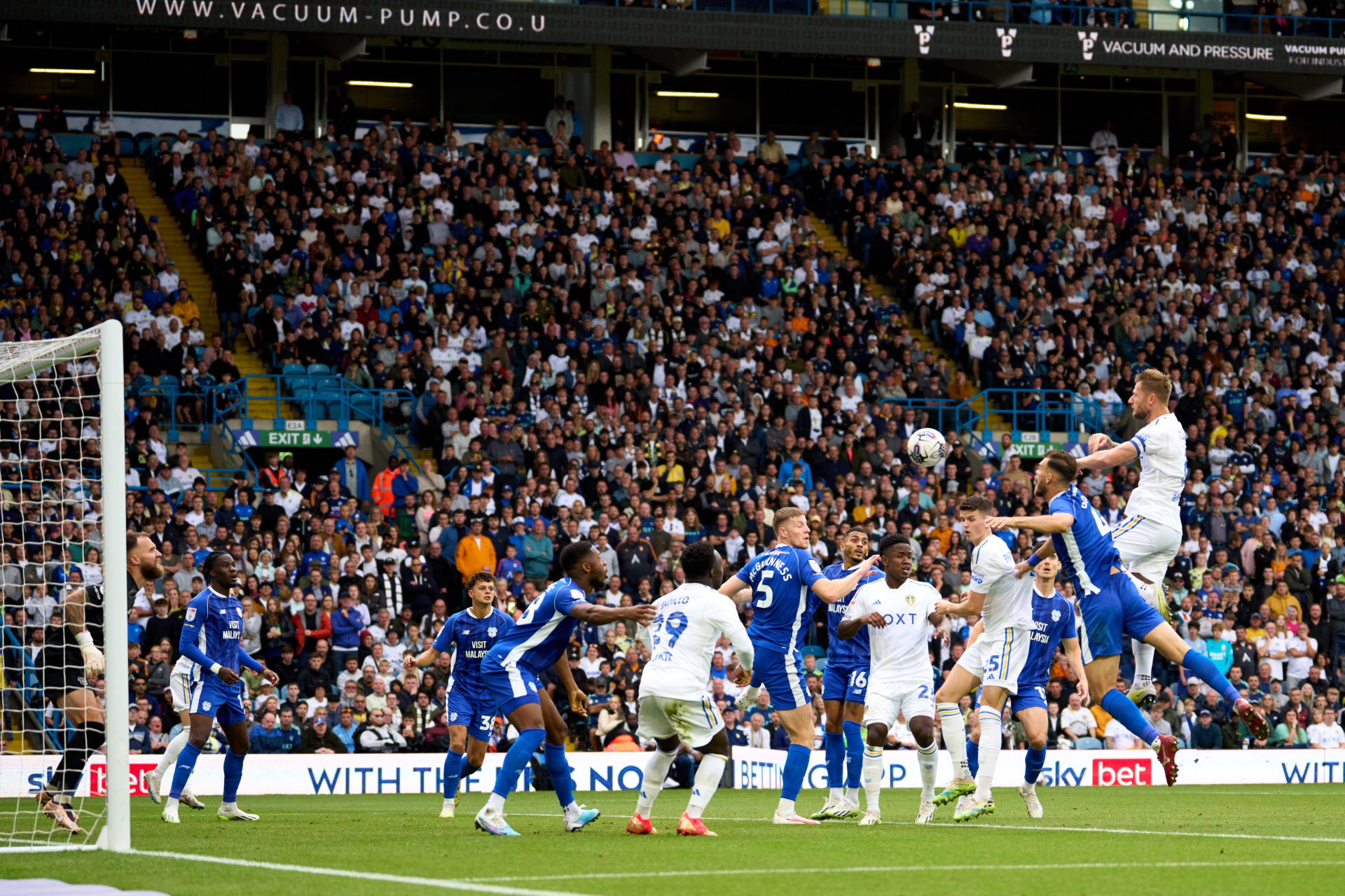 Dominic Matteo said Leeds ace 'led by example' on Wednesday night, in ...