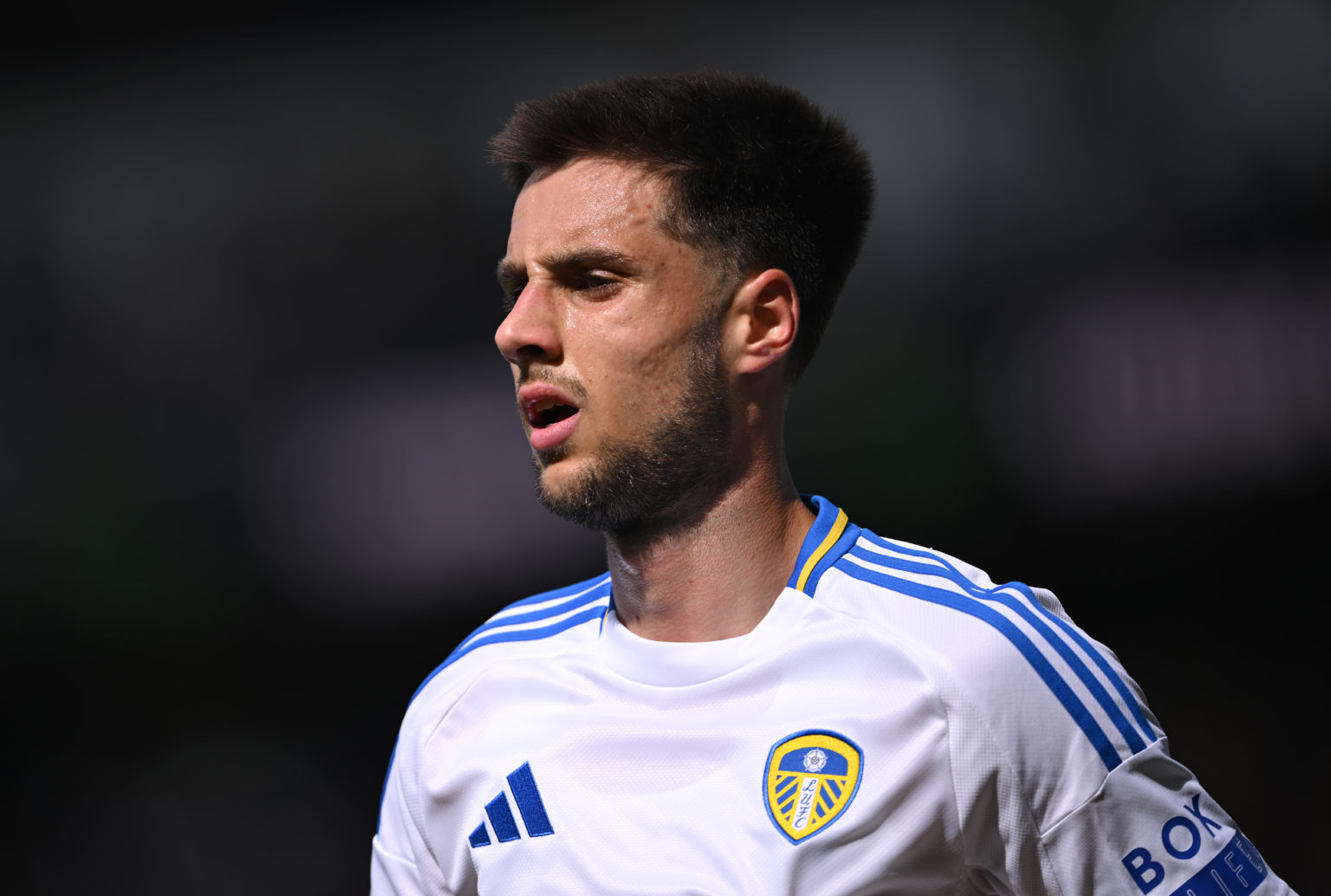 Leeds United fans are all saying the same thing about Ilia Gruev as he ...