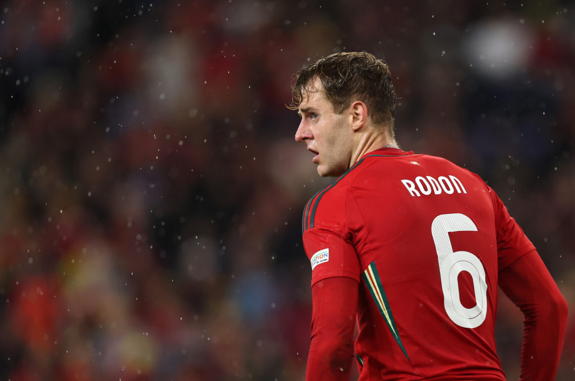Wales fans are all saying the same thing about Leeds defender Joe Rodon ...