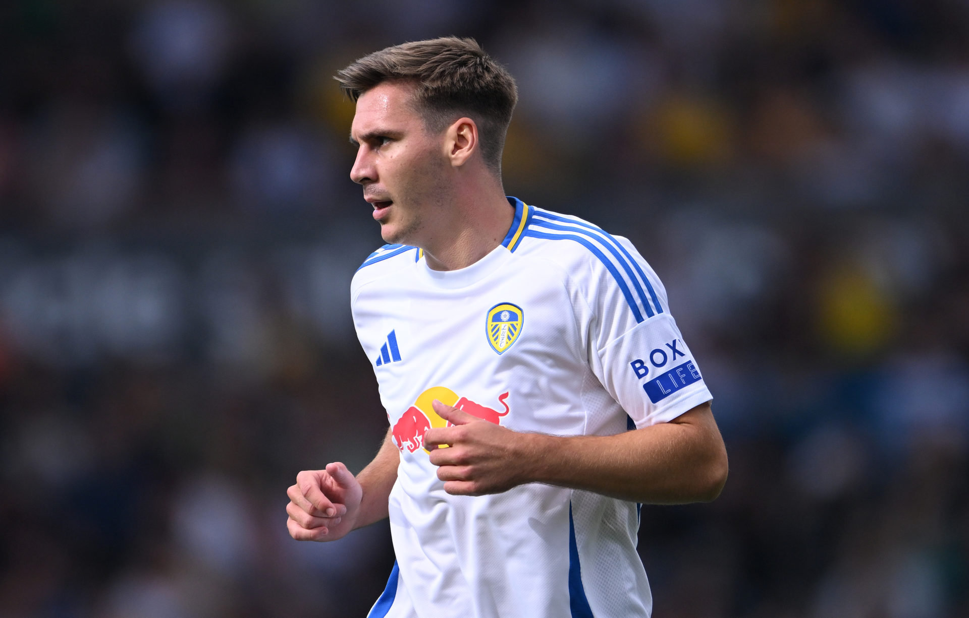 Leeds United fans have made their feelings clear on Max Wober's future ...