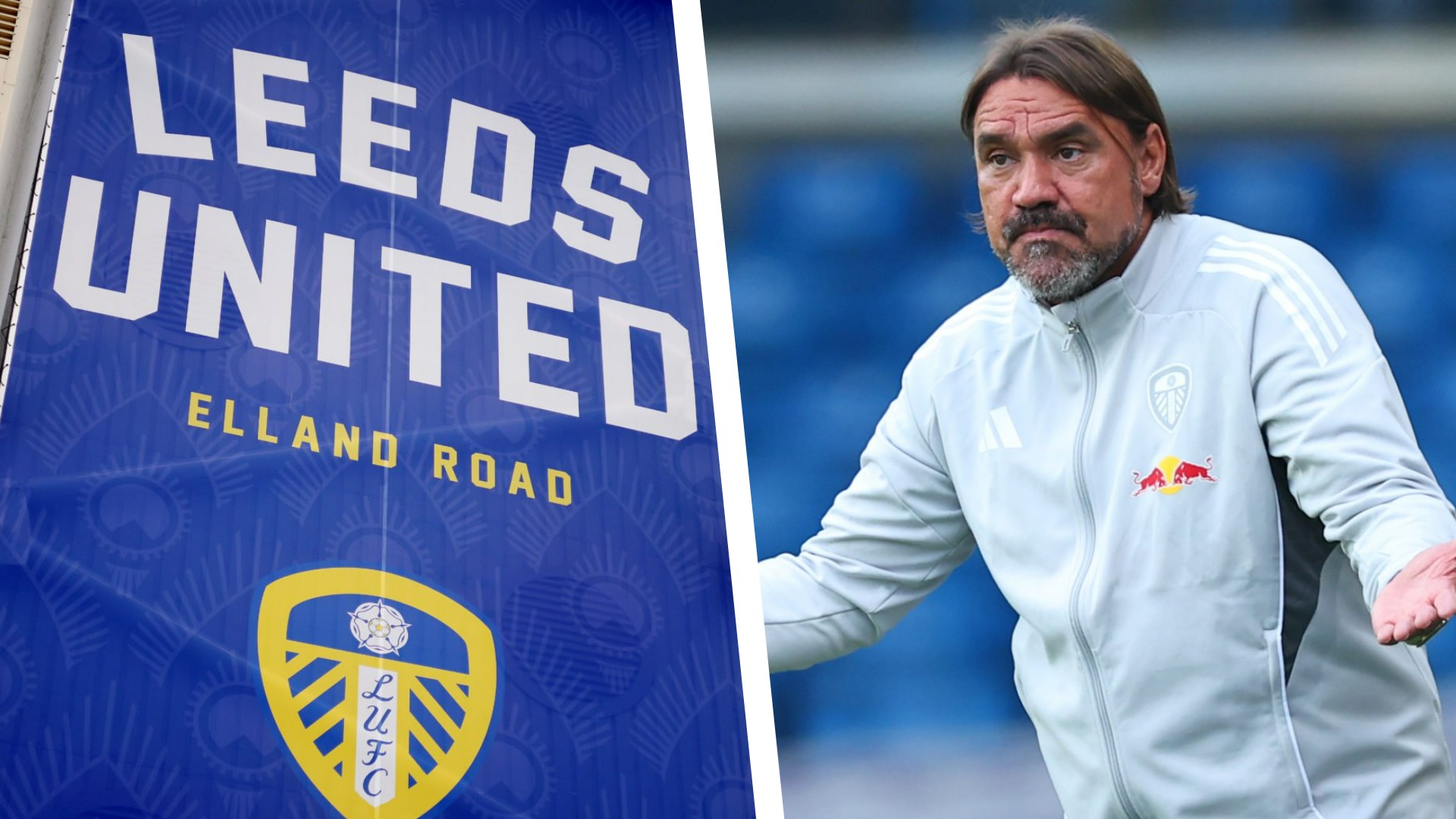 Look out Leeds United fans as Daniel Farke sets up potential transfer ...