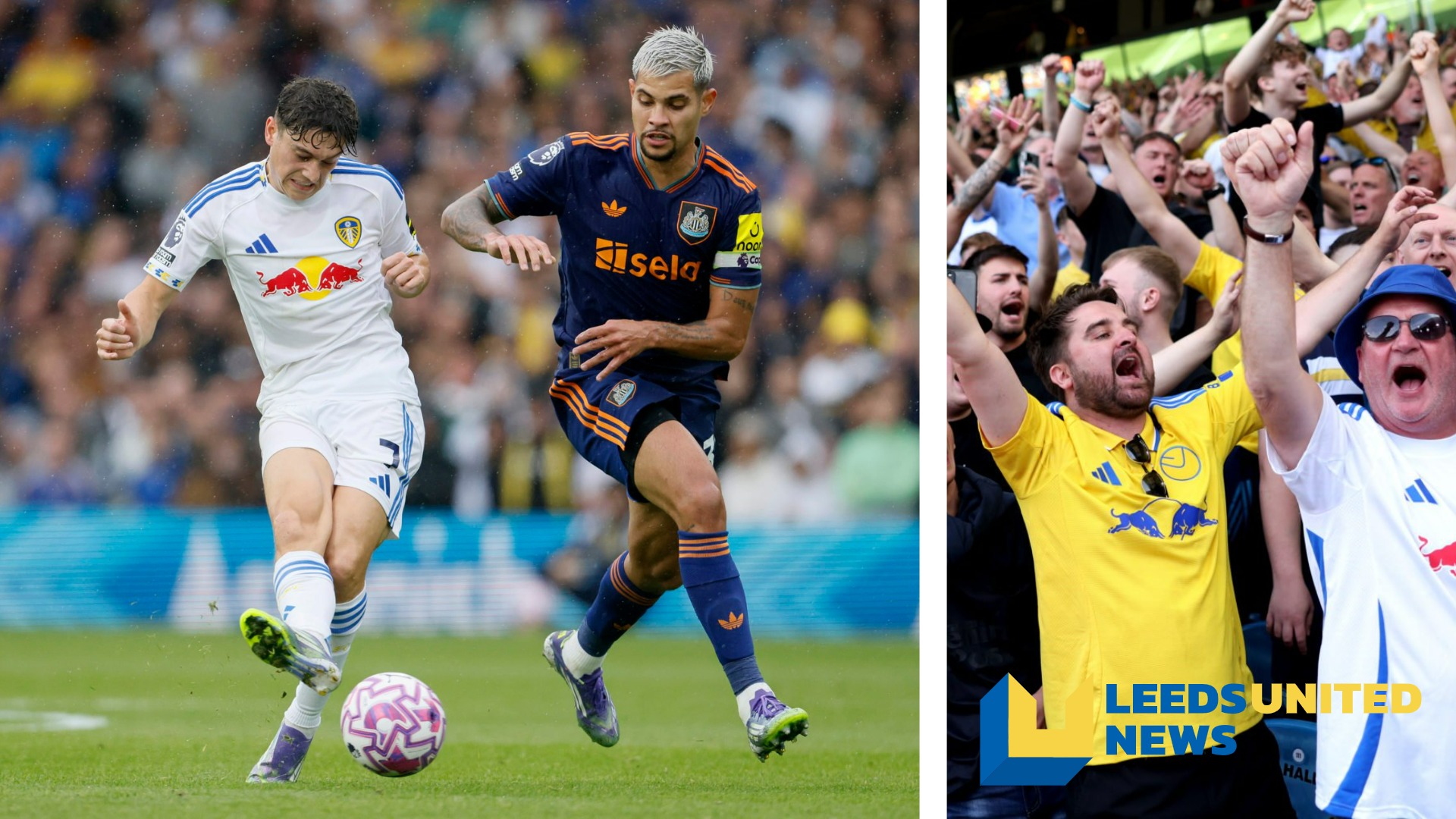 Confused Leeds United fans make the same Dan James point after ...