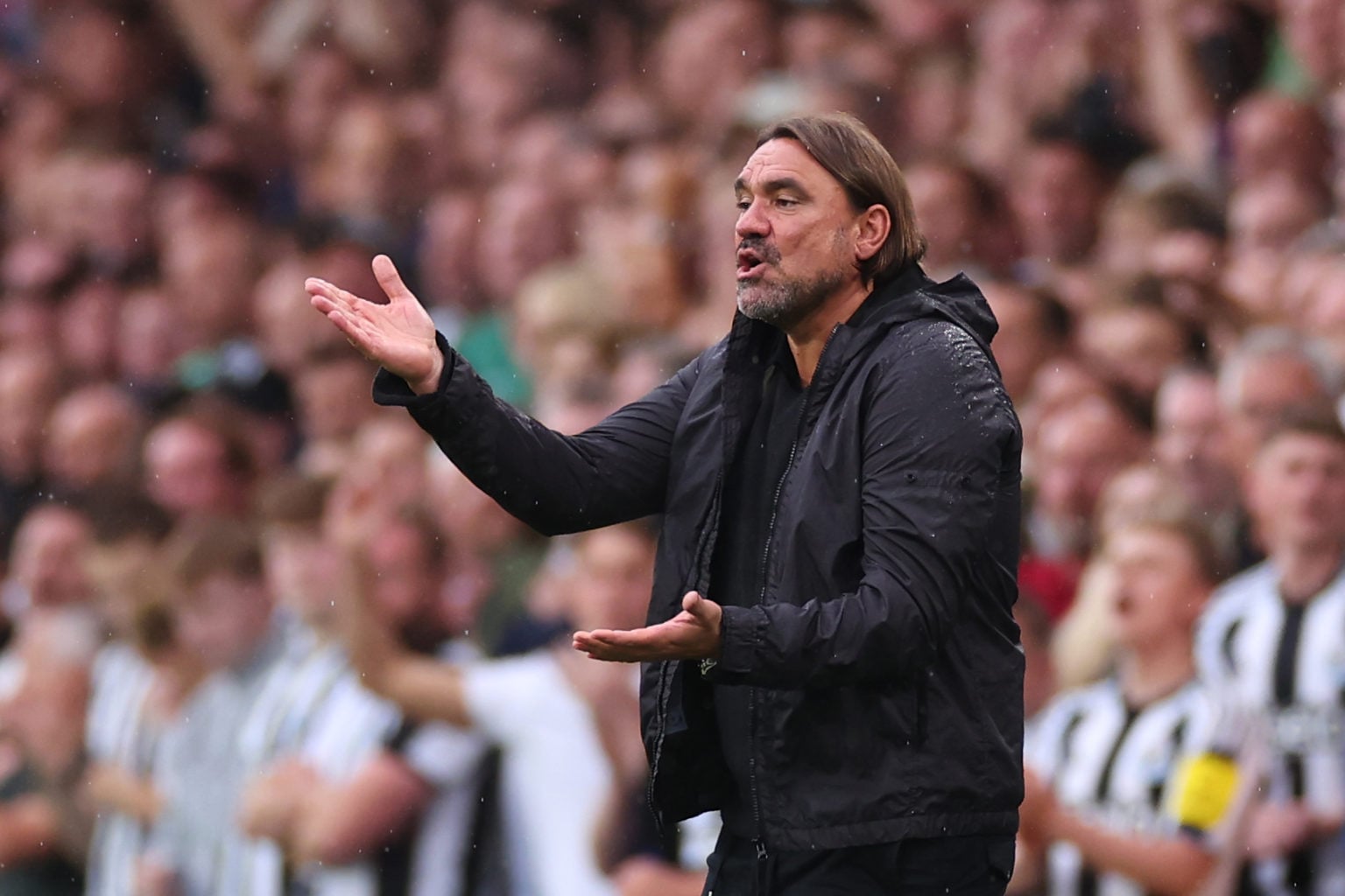 How to watch Fulham vs Leeds United: TV channel, live stream and team news